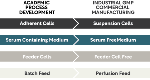 A standardized approach to CGT quality management ...
