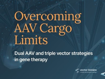 Overcoming AAV cargo limits: Dual AAV and triple vector strategies in ...